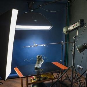 5 Tips Mengoptimalkan Foto Produk dengan Teknik Lighting